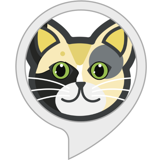 Alexa Skill Kitten Update | Cuteavalanche 24/7 Foster Cat Cam