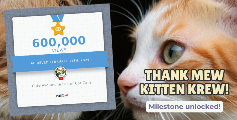 600K Views and Counting: Celebrating Our YouTube Milestone and What’s ...